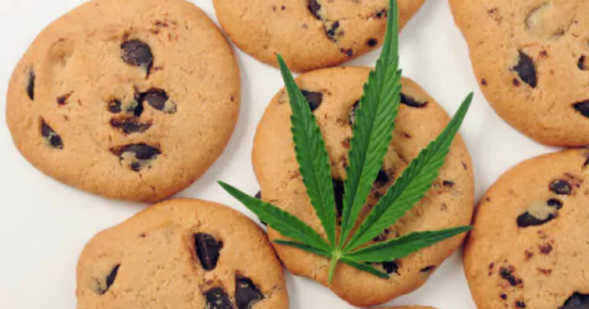 Biscotti alla marijuana: arrestato dopo che il nipotino ne mangia uno e ...
